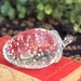 Glass Paperweight Strawberry - Clear Glass Paperweight With Controlled ...
