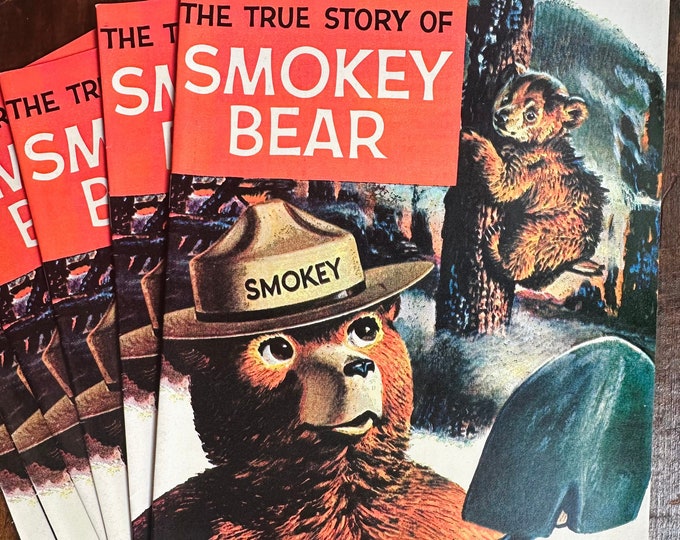 The True Story of Smokey Bear Comic Book/fire Prevention Campaign ...