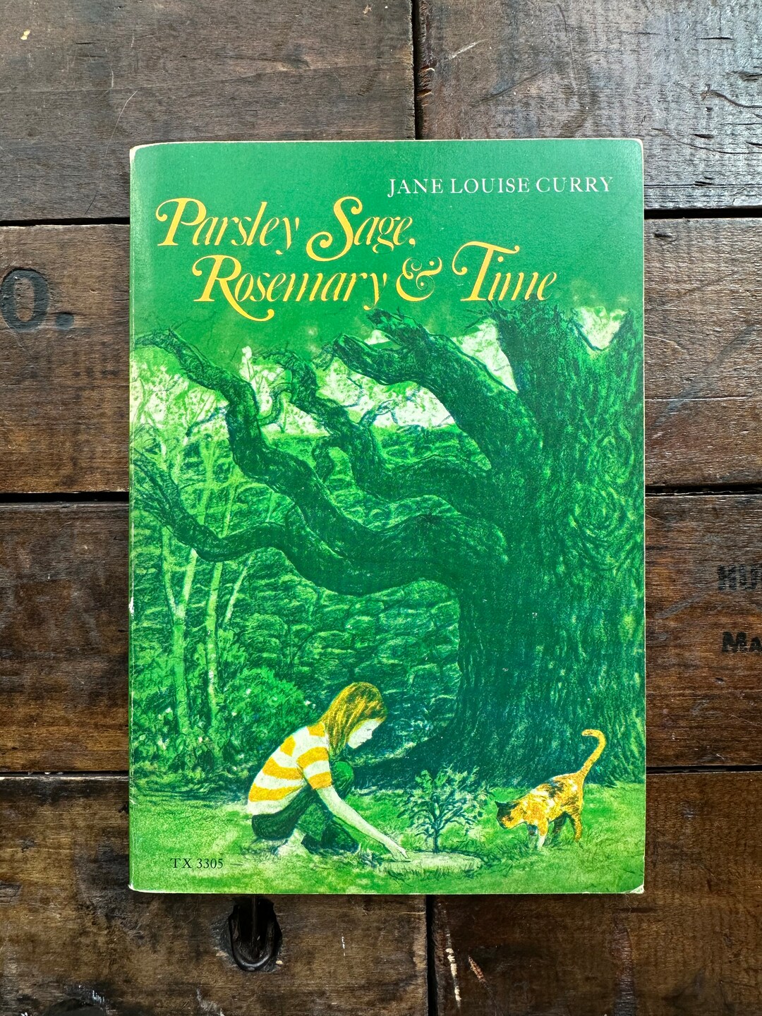 Parsley Sage, Rosemary & Time by Jane Louise Curry ~ Vintage Scholastic ...