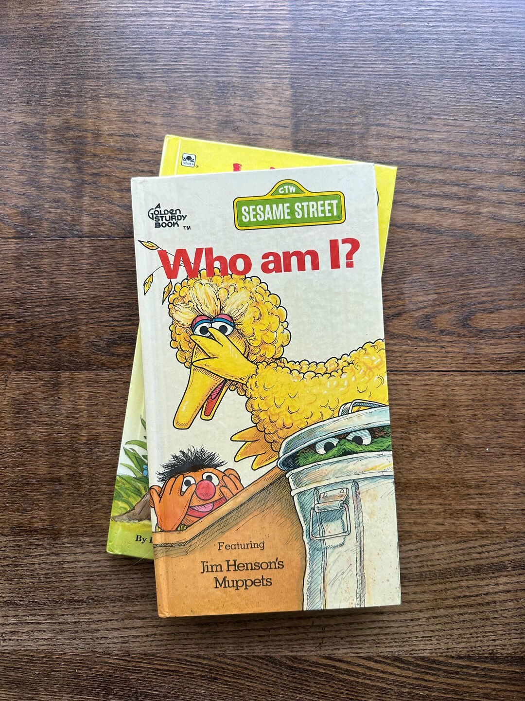 Who Am I? Sesame Street, A Golden Sturdy Book ~ Vintage 1978 ~ Children ...