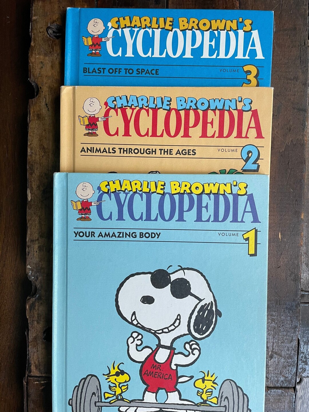 Vol. 1, 2 & 3 Charlie Brown's Cyclopedia HC Books ~ Vintage 90's ~ Your ...