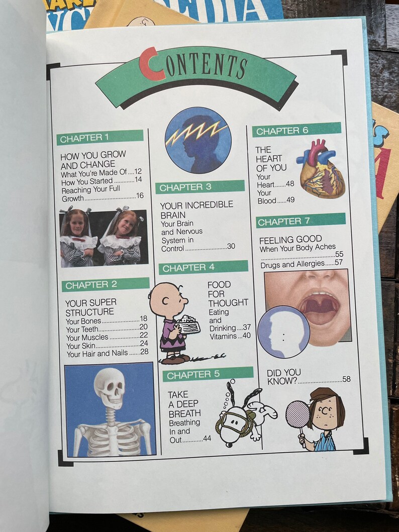 Vol. 1, 2 & 3 Charlie Brown's Cyclopedia HC Books ~ Vintage 90's ~ Your ...