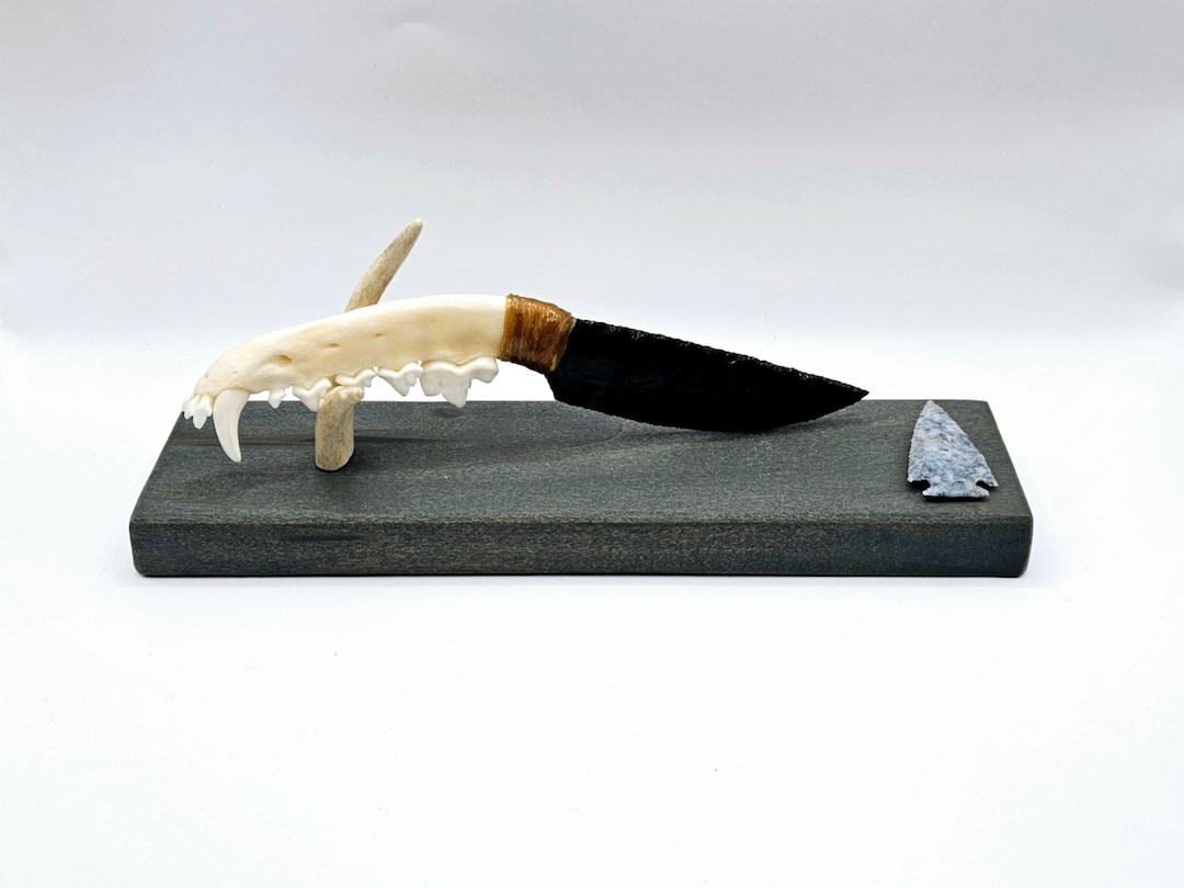 Native American Flint Knapped Obsidian Knife, Coyote Jaw Bone Handle ...
