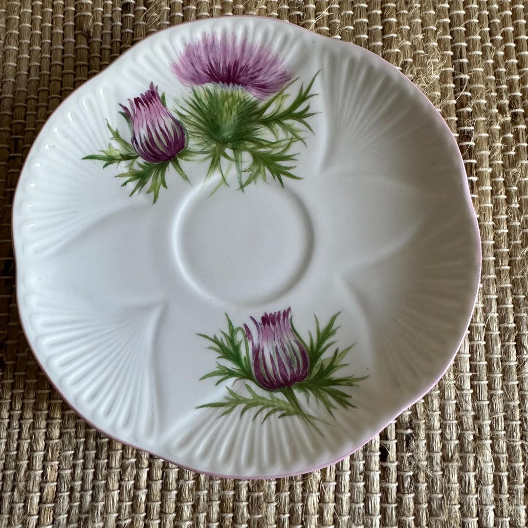 Vintage Shelley Saucer Thistle Pattern/bone China England - Etsy