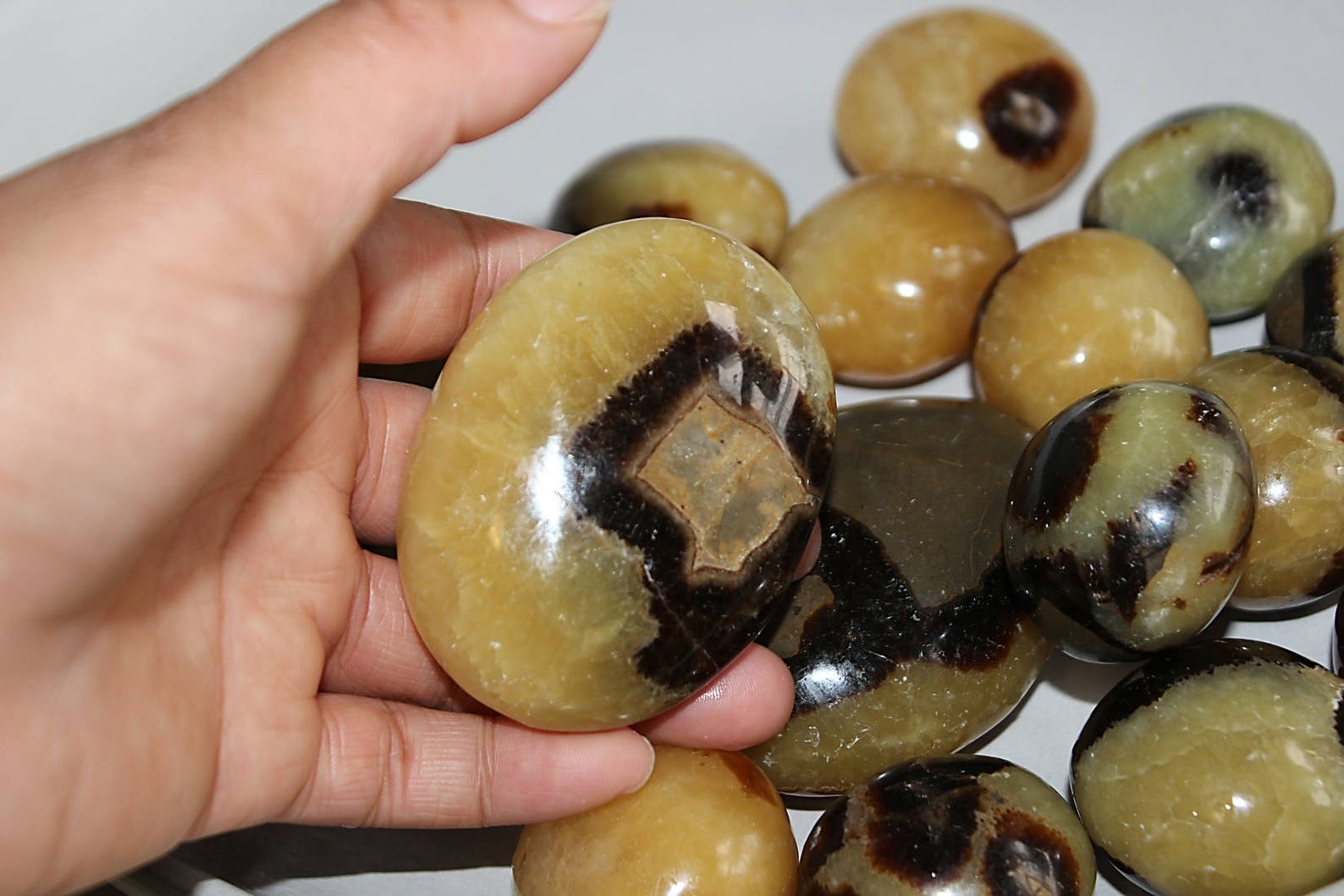 Septarian Stone Septarian Nodules Dragon Stone Palm Stone | Etsy