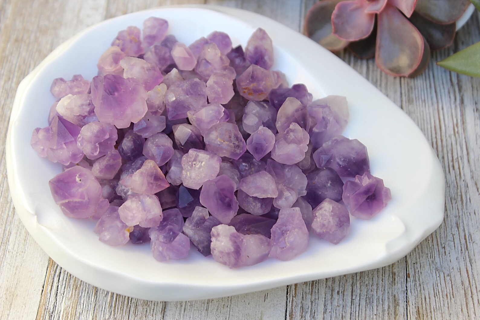 Amethyst Flower Buds - Etsy