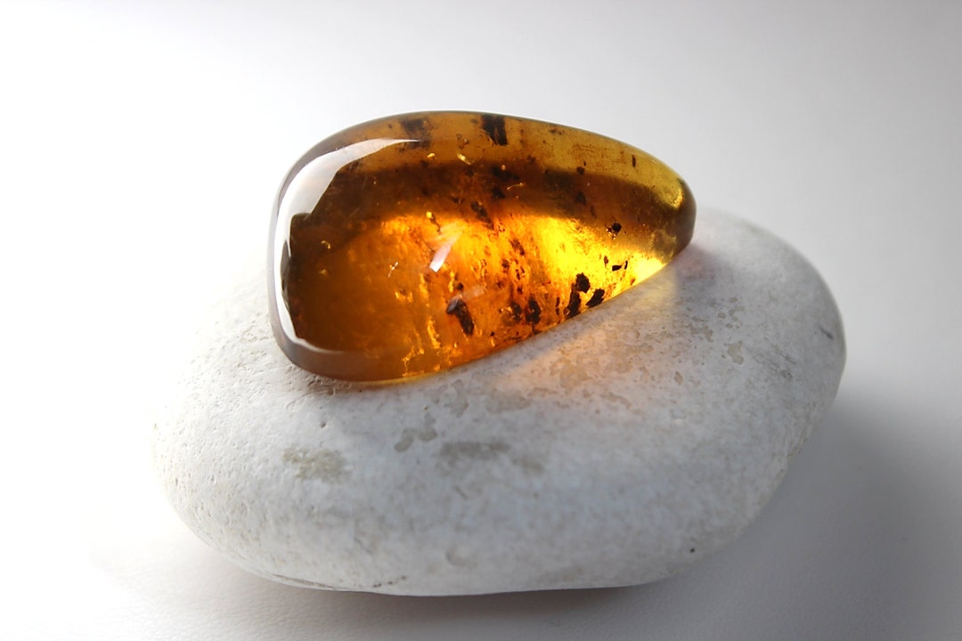 Dominican Amber Freeshaped Teardrop Large Cabochon - Etsy