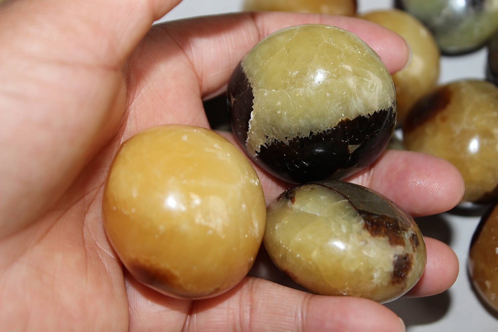 Septarian Stone Septarian Nodules Dragon Stone Palm Stone | Etsy