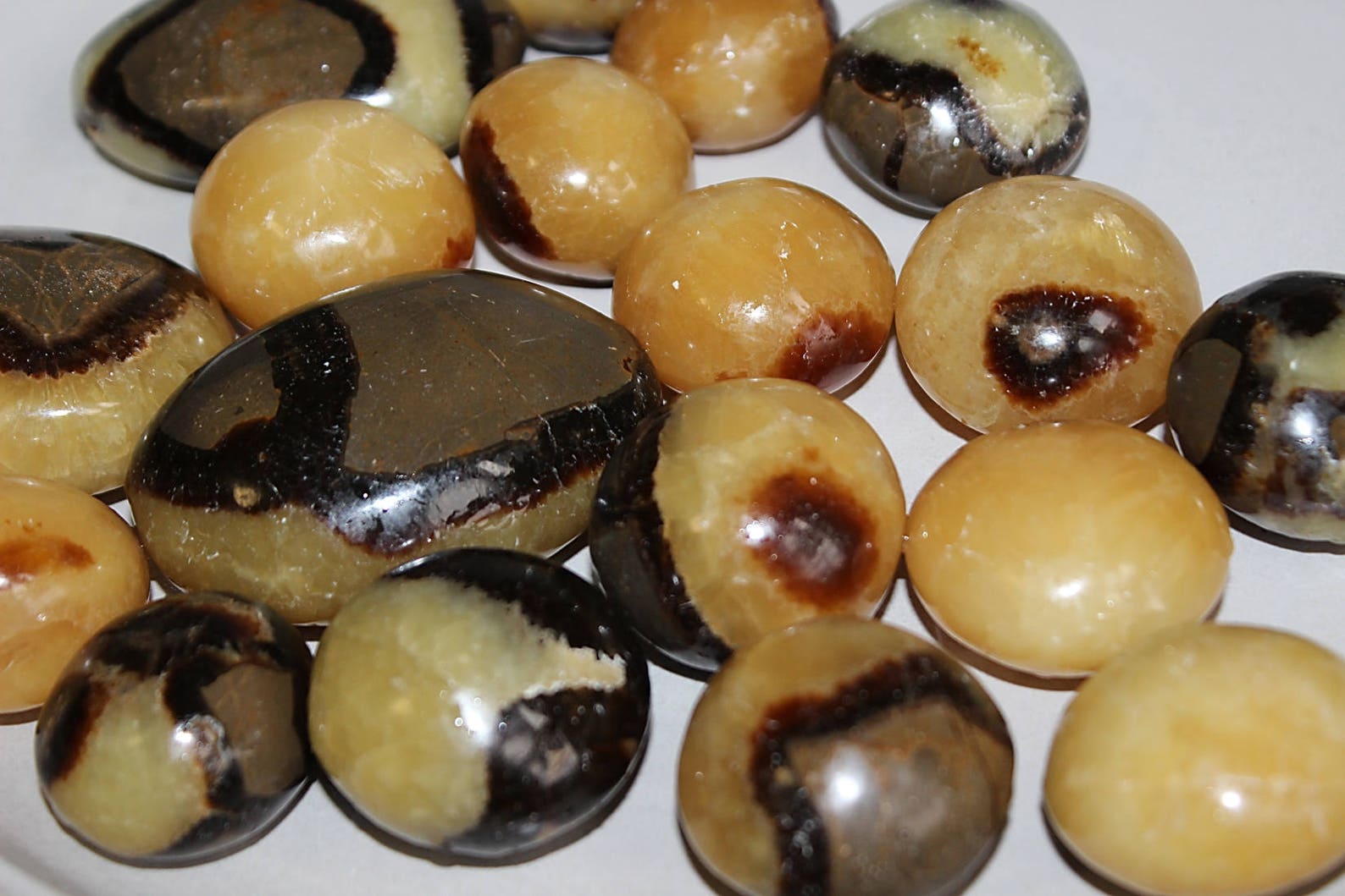 Septarian Stone Septarian Nodules Dragon Stone Palm Stone | Etsy