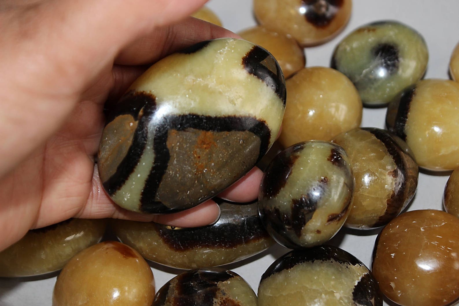 Septarian Stone Septarian Nodules Dragon Stone Palm Stone | Etsy