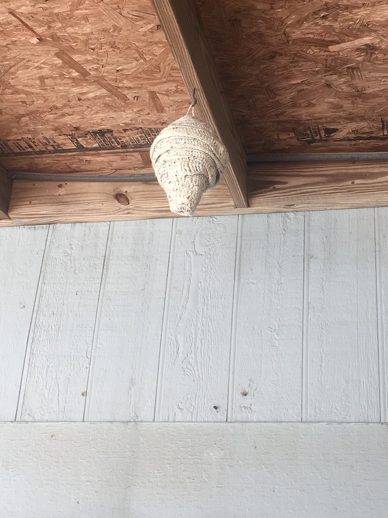 Crochet Hornet Nest PATTERN - Etsy