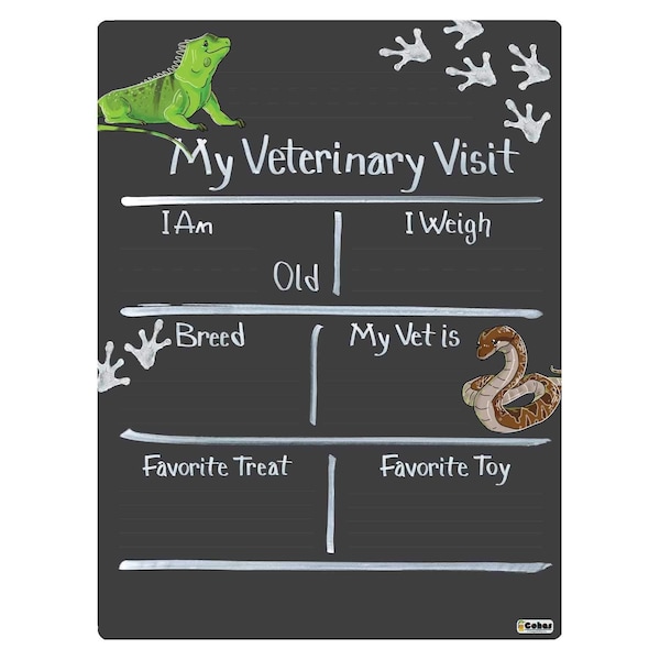 Vet Visit Sign - Etsy