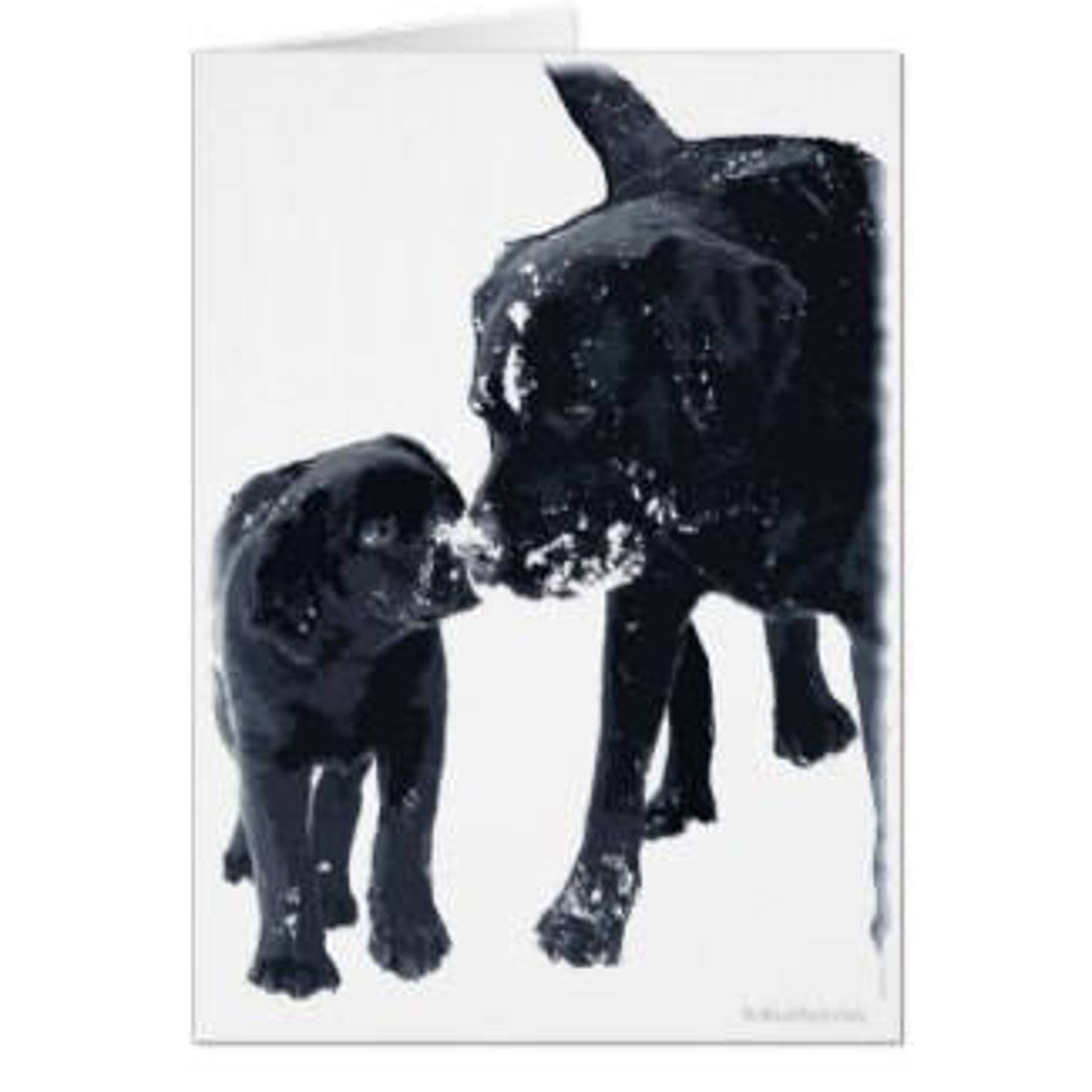 Black Lab Assortment Cards 10 pack B Black Lab Art Dog | Etsy