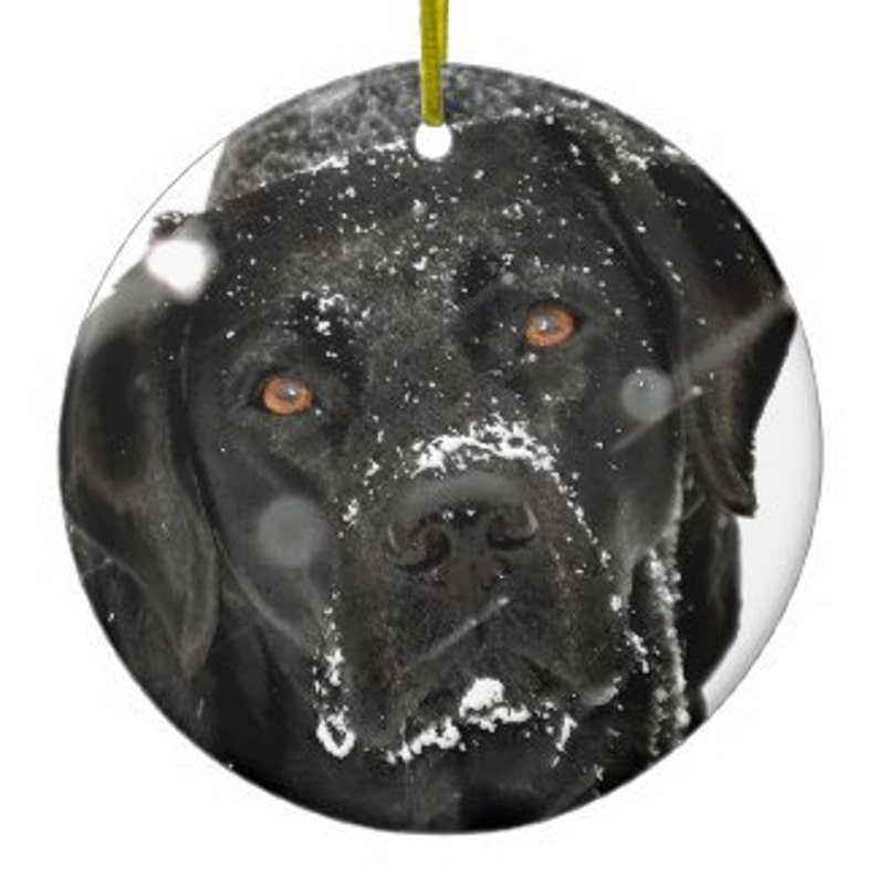 Black Lab Ornament Black Lab Art 15SNG Labrador Ornament - Etsy