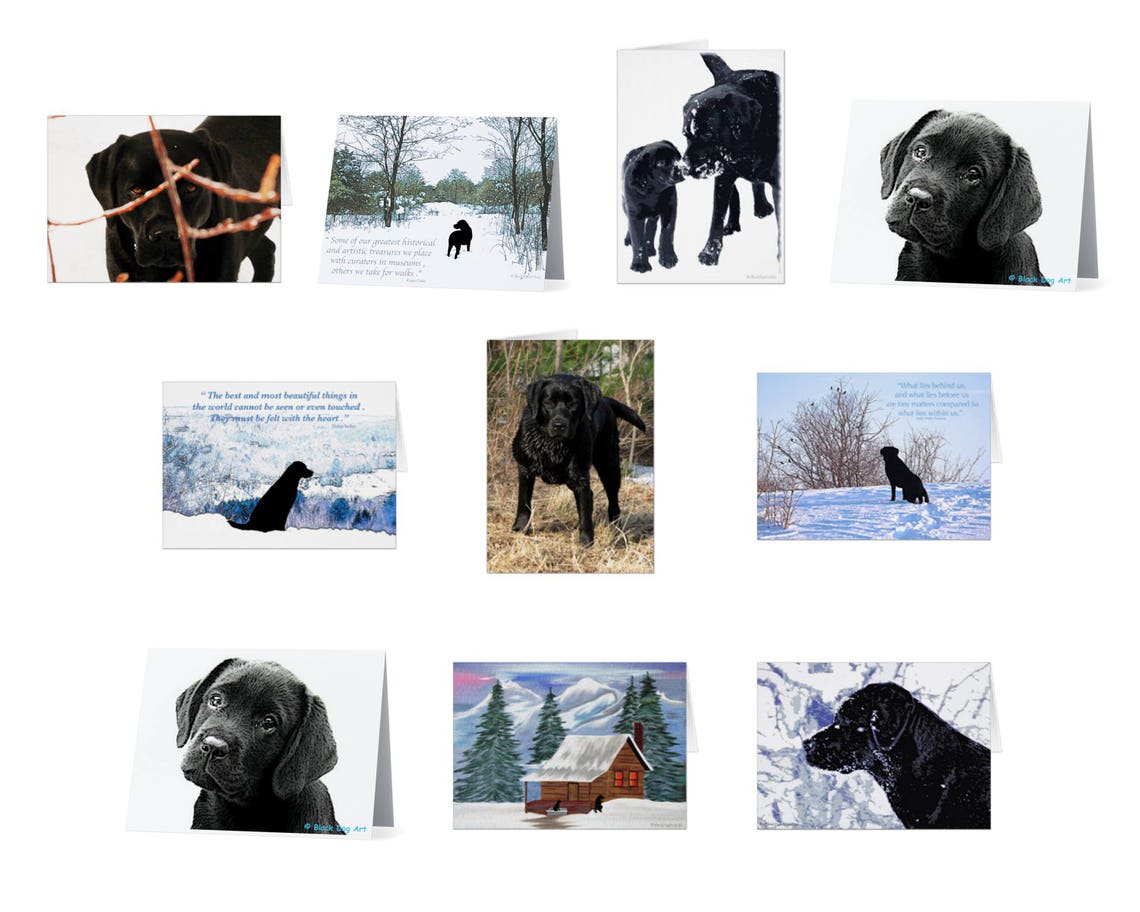 Black Lab Assortment Cards 10 pack B Black Lab Art Dog | Etsy