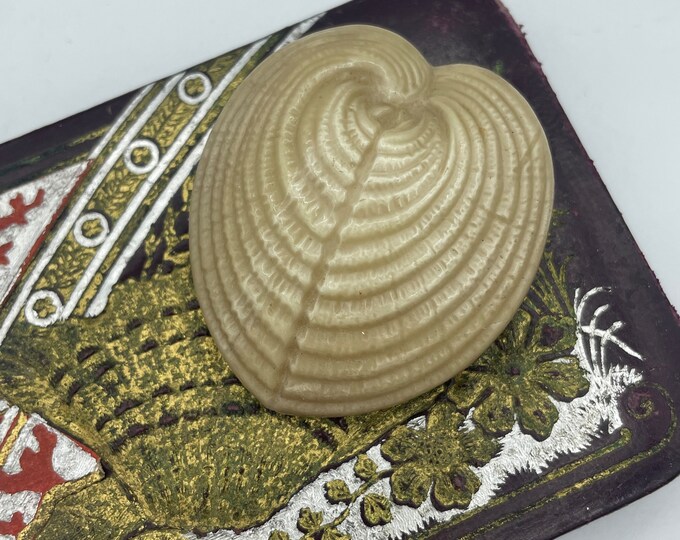 Vintage Bivalve Mollusk Realistic Celluloid Shell Novelty Animal Large ...