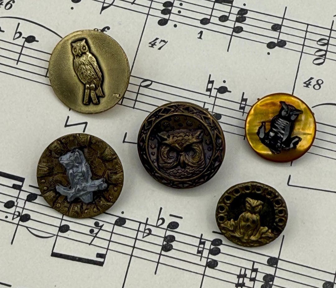 19th C Owl Owls Head Metal Button - Etsy
