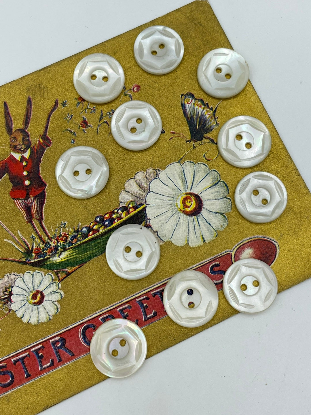 Set 11 Antique Pearl Carved Shell Buttons / 9/16" - Etsy