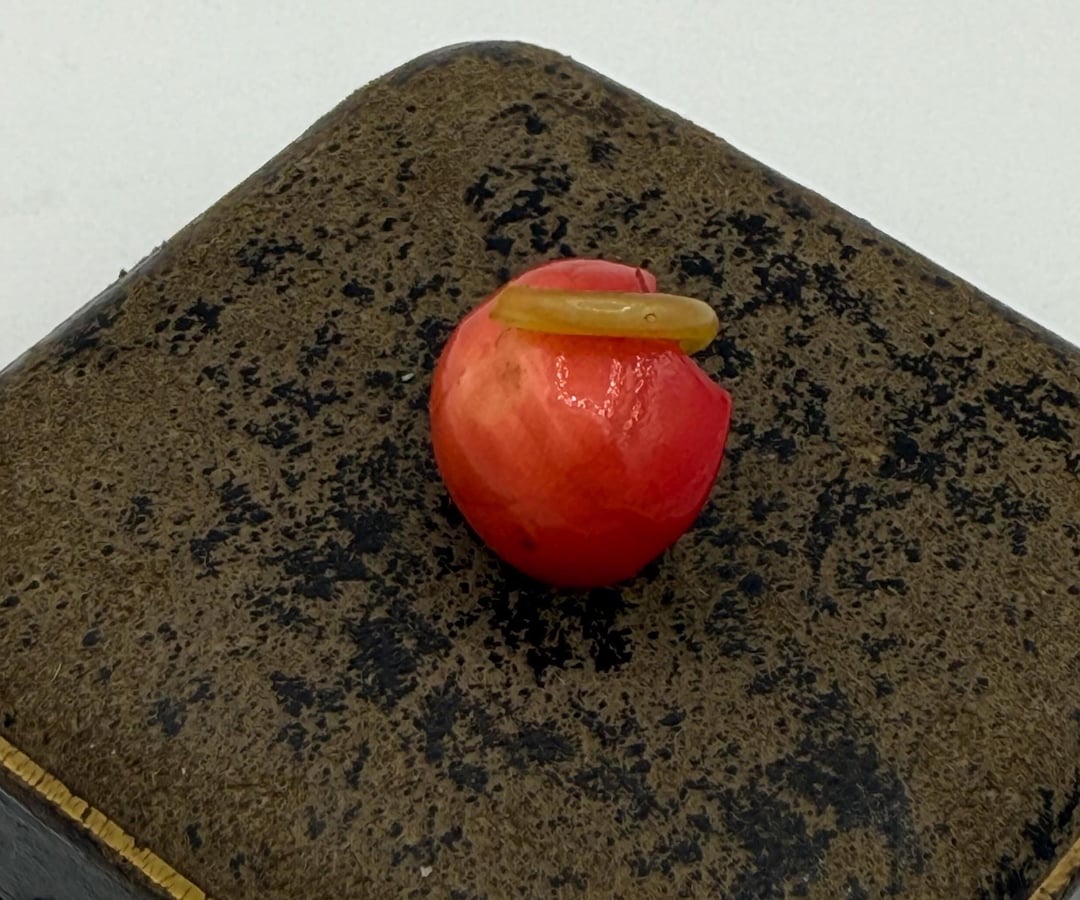 Vintage Celluloid Apple Marion Weeber Novelty Button - Etsy