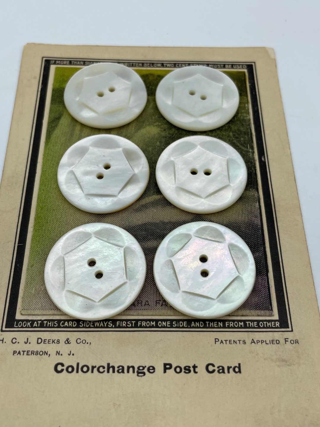 Set 6 Antique 1800s Carved Shell Buttons / 1" - Etsy