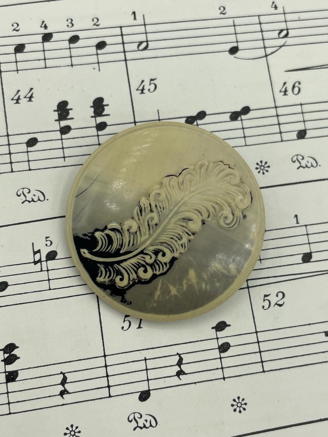 Large Antique Ivoroid Ivory Feather Plume Tinted Molded Sheet Celluloid ...