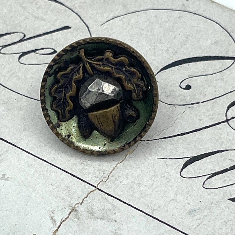 Acorn Button - Etsy