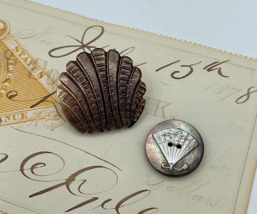 Antique Carved Realistic Fan Clamshell Seashell Shell Button - Etsy