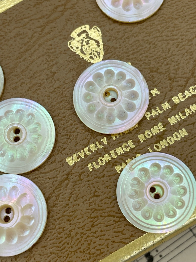 Antique Victorian 1800s Pinky Rose Iridescent Etched Shell Button ...