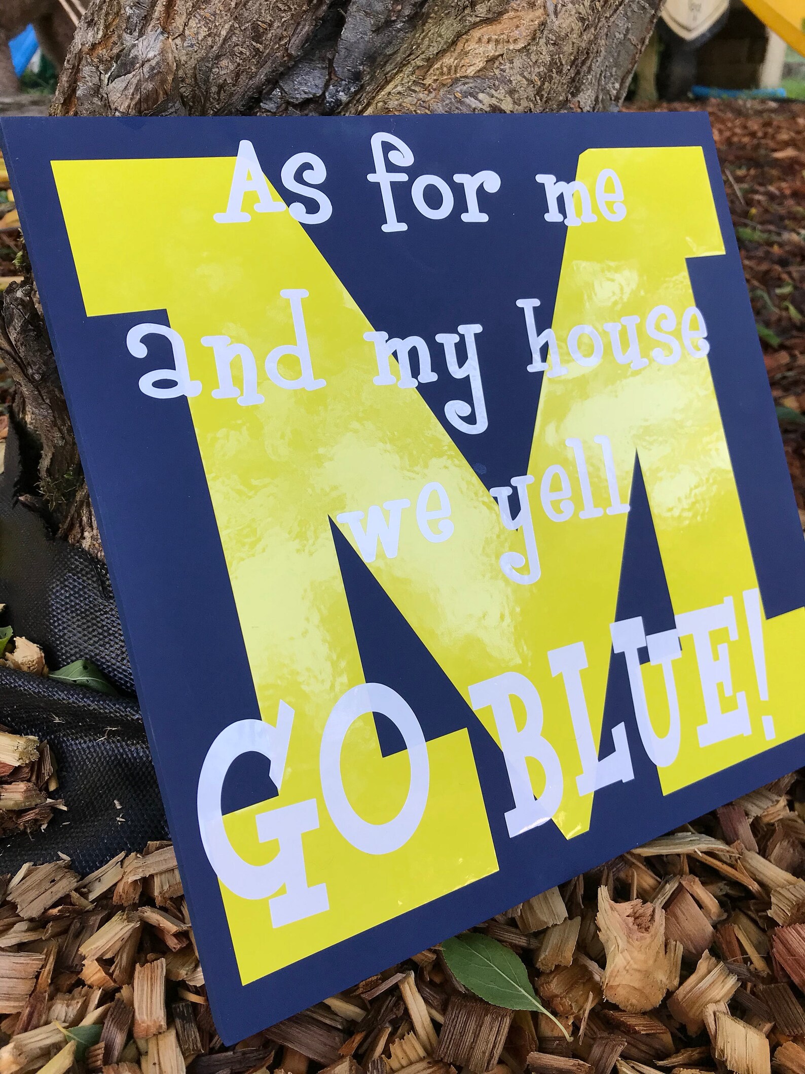 Michigan Sign/university of Michigan/ Wolverines Sign/go Blue/wood Sign ...