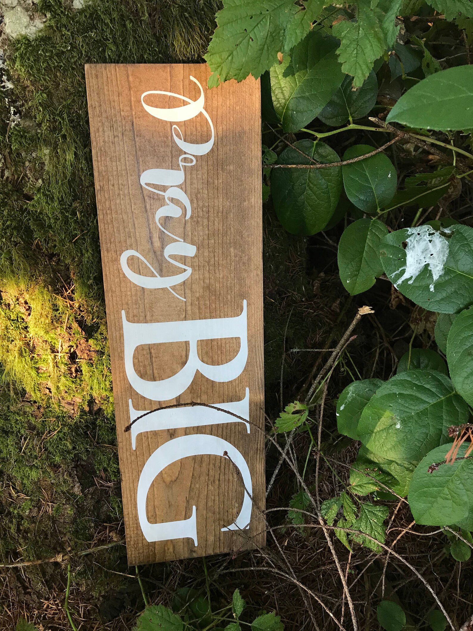 Pray BIG, Hand Painted, Wood Sign, 6" X 18" Inspirational Sign, Home ...