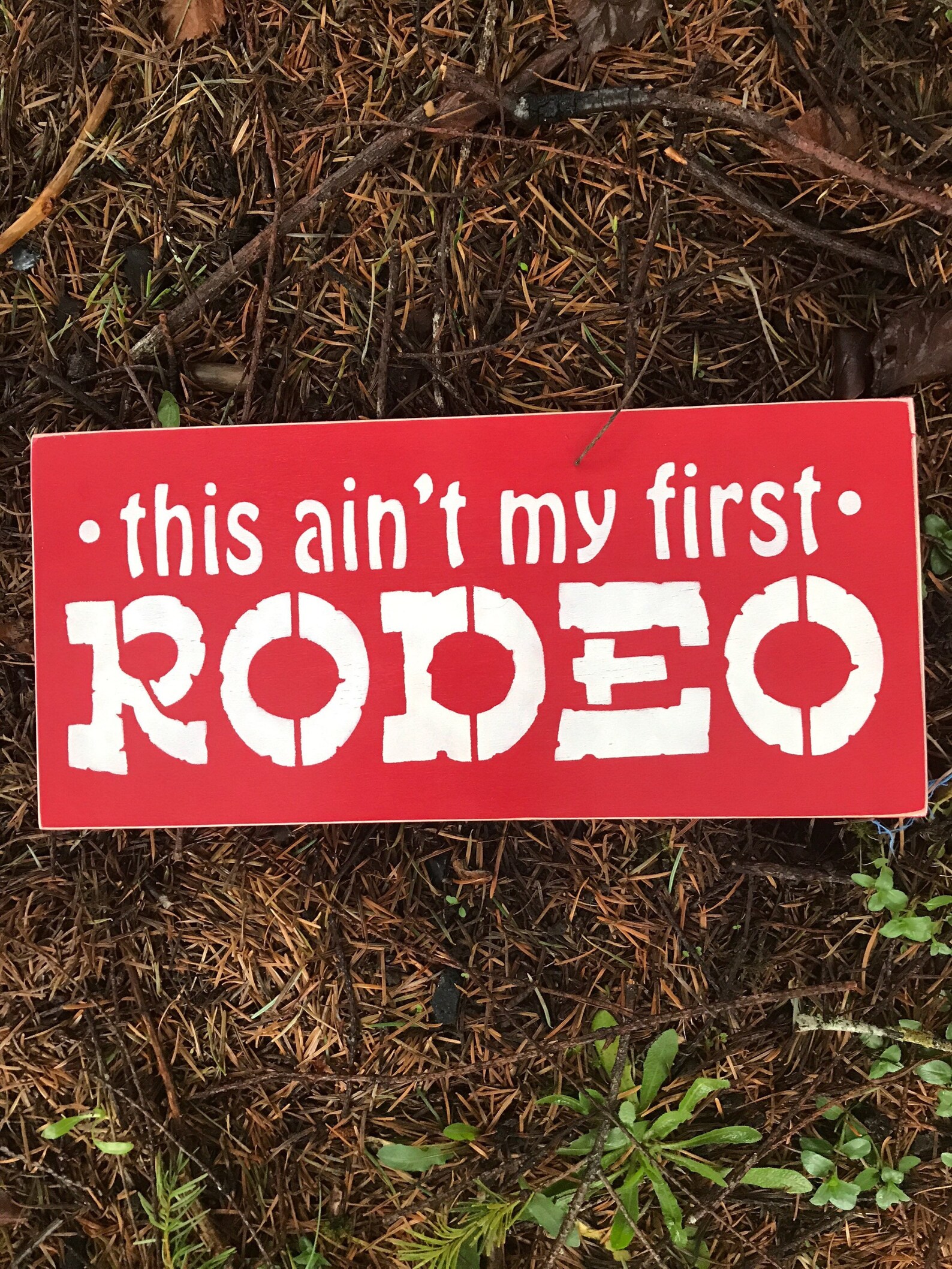 THIS AIN'T MY First Rodeo/hand Painted Wood/ Sign/ Western | Etsy