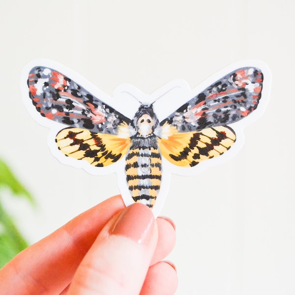 Deaths Head Hawkmoth - Etsy