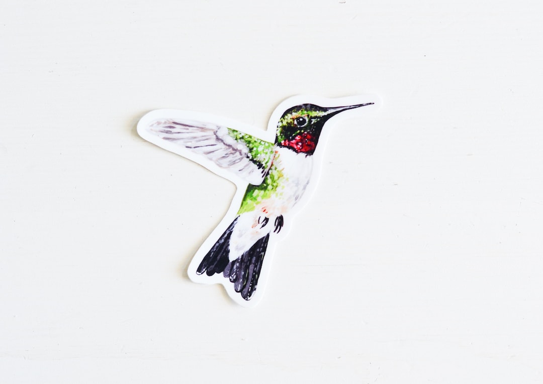 Ruby-throated Hummingbird Sticker, Vinyl Die-cut 3", Made From Original ...