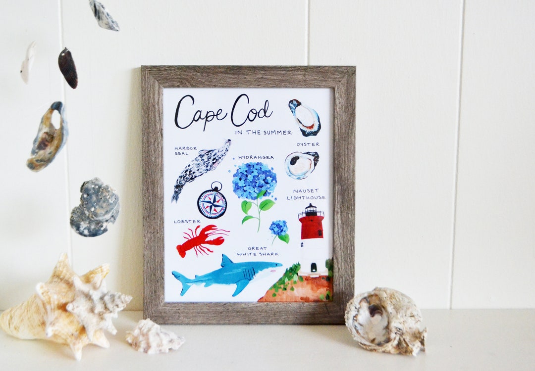 Cape Cod Art Print: Summer Animals & Plants Illustration (8x10) - Etsy