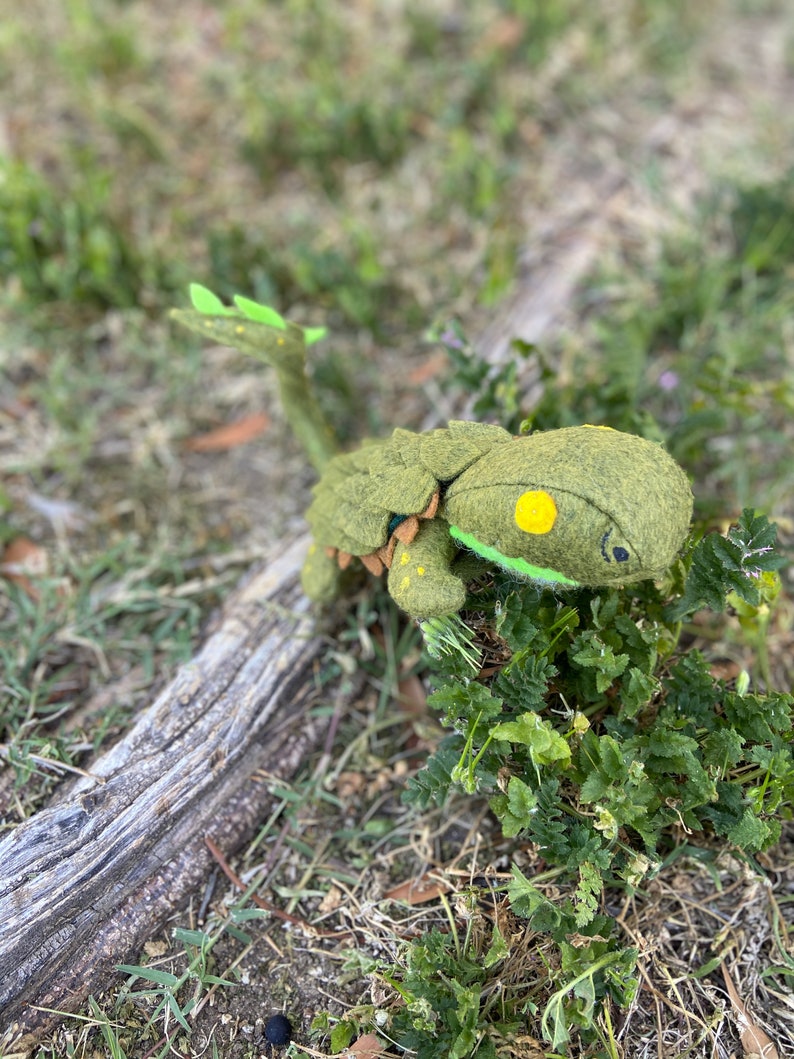 Beast of Busco Indiana Cryptid Plush Turtle Stuffed Animal - Etsy