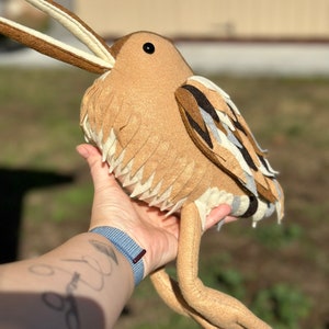 Woodcock, Stuffed Bird, North American Bird - Etsy