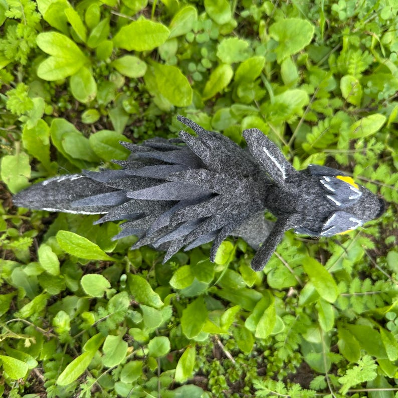 Shunka Warak’in, Montana Cryptid Plush - Etsy