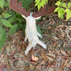 Specter Moose, Maine Cryptid, Plush Moose - Etsy