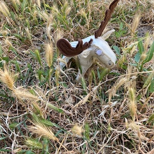 Maine Specter Moose Cryptid Plush Moose - Etsy