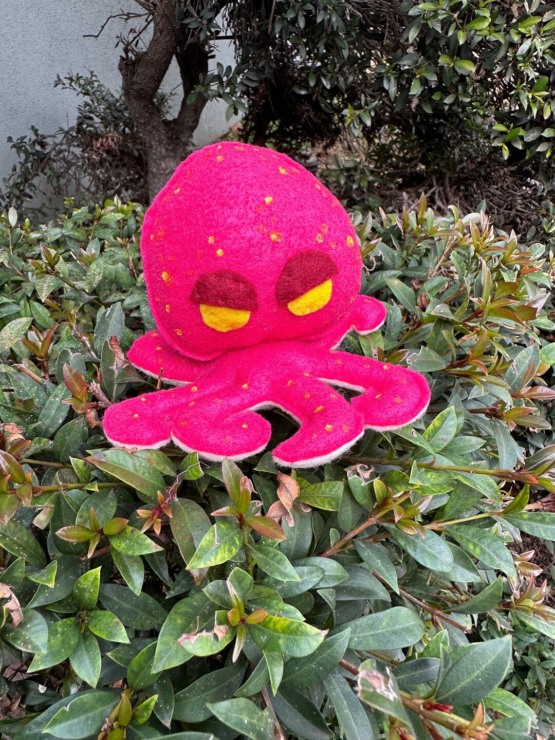 Oklahoma Octopus Cryptid Plush Sea Creature - Etsy