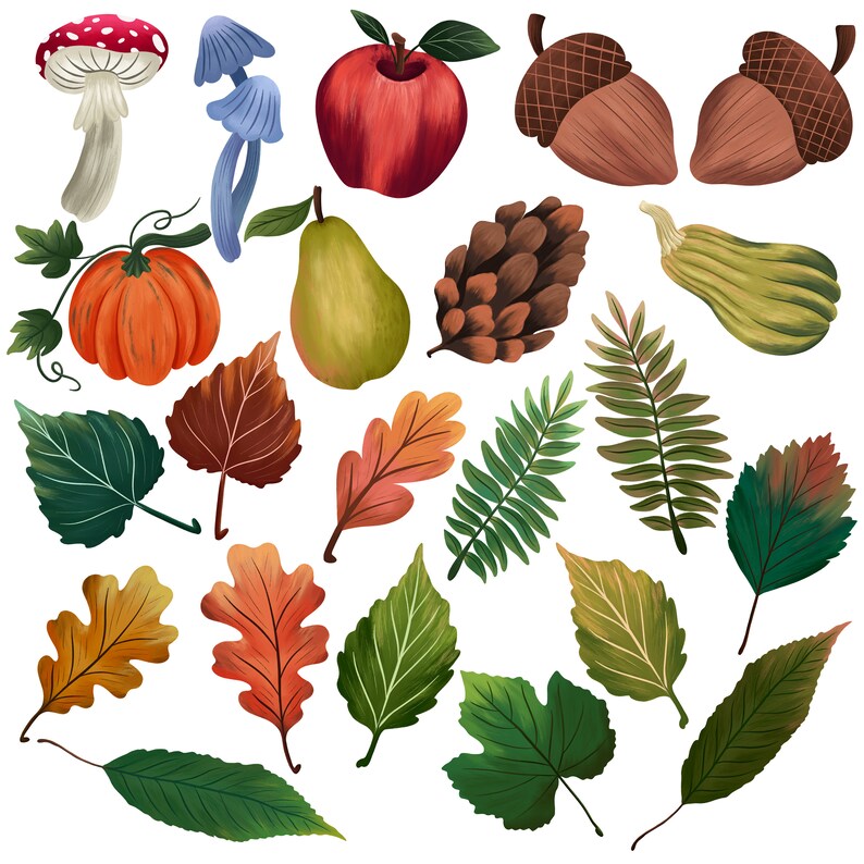 Fall Foraging Clip Art Set Fall Clip Art Images Fall - Etsy Canada