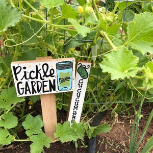 Pickle Garden Sign, Garden Marker, Pickles Sign, Gardener Gift ...