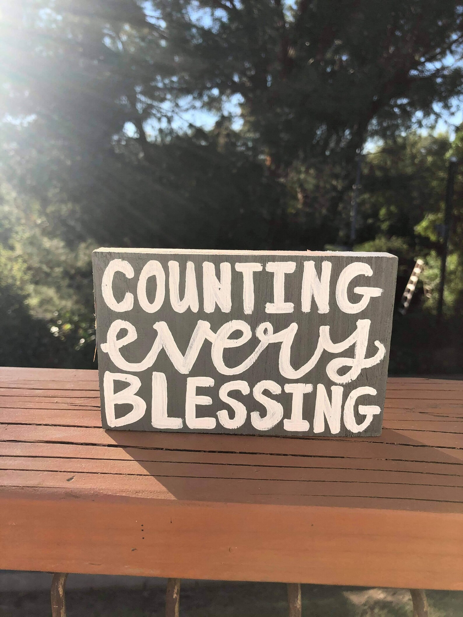 Counting Every Blessing Wood Sign Blessed Wooden Sign Cute - Etsy Denmark
