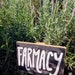 Farmacy Garden Sign Vegetable Stake Gardener Gift Farmer Decor Rustic ...
