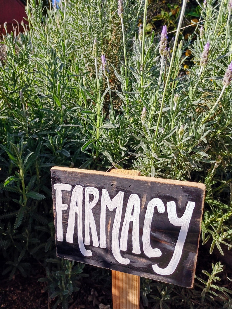 Farmacy Garden Sign Vegetable Stake Gardener Gift Farmer Decor Rustic ...