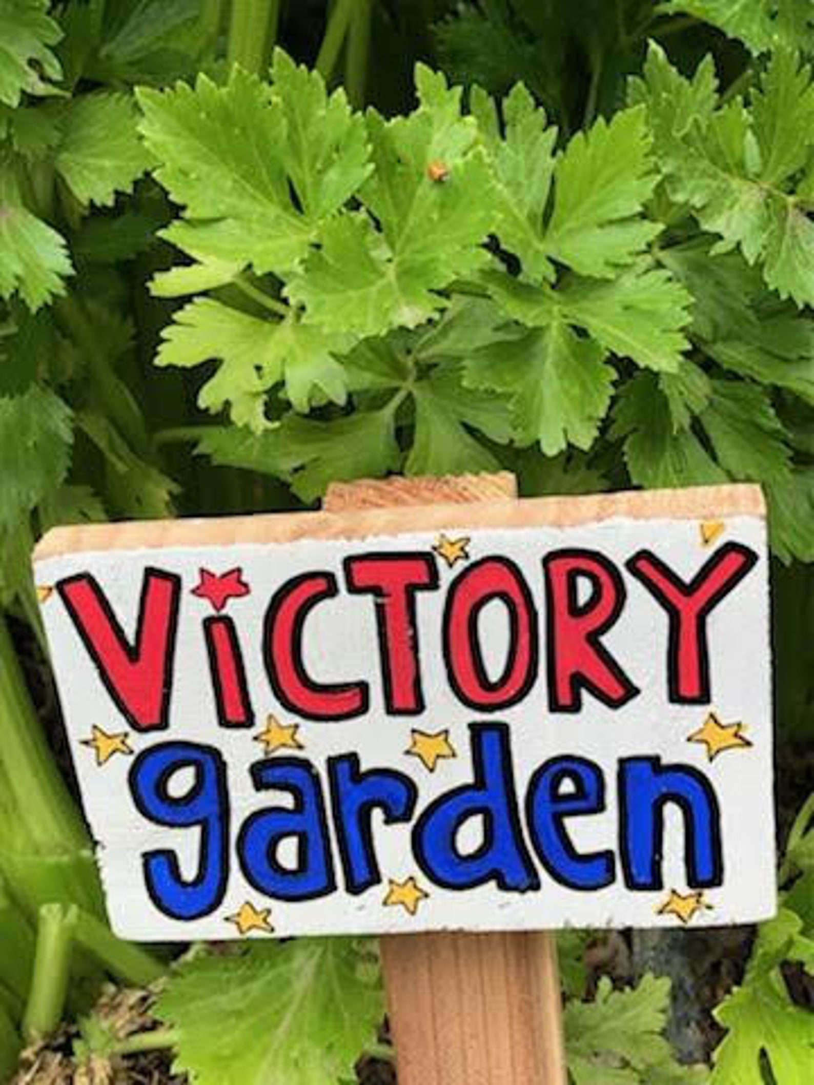 Victory Garden Wood Garden Sign Set Wood Garden Stake Sign - Etsy