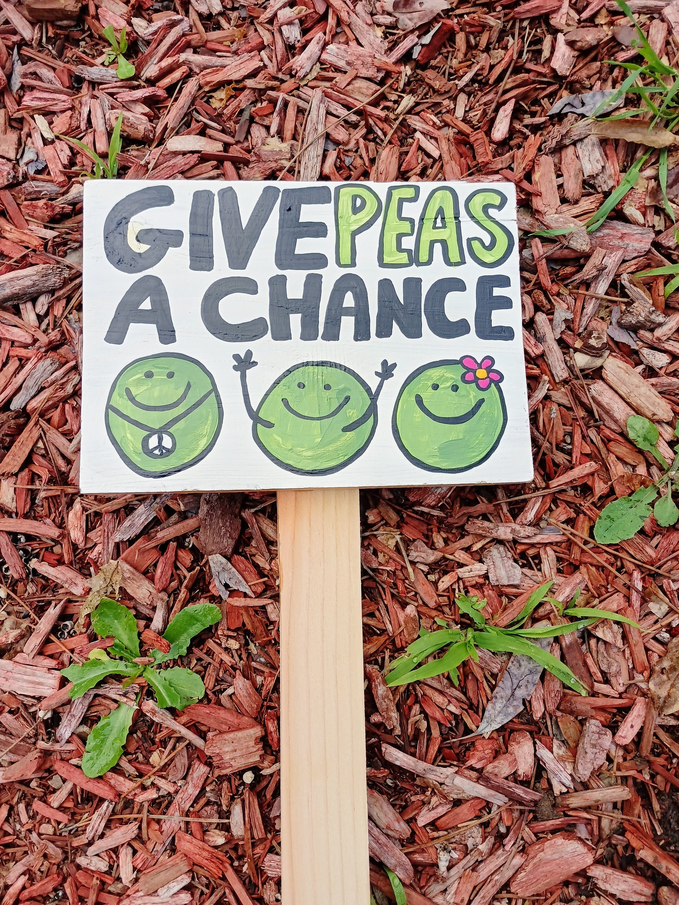 Hand Painted Pea Garden Sign - Funny Hippie Farm Decor - Etsy