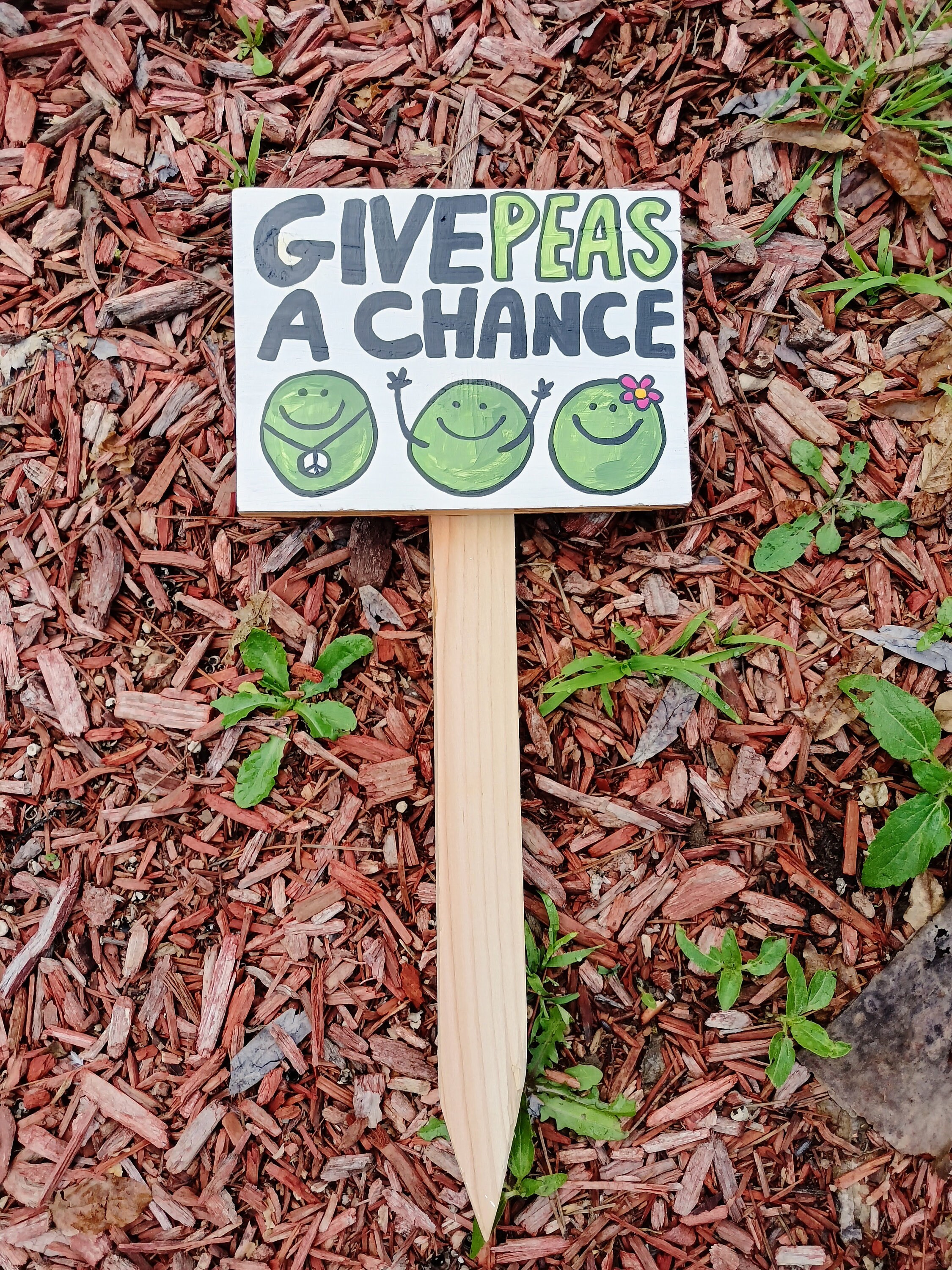 Hand Painted Pea Garden Sign - Funny Hippie Farm Decor - Etsy