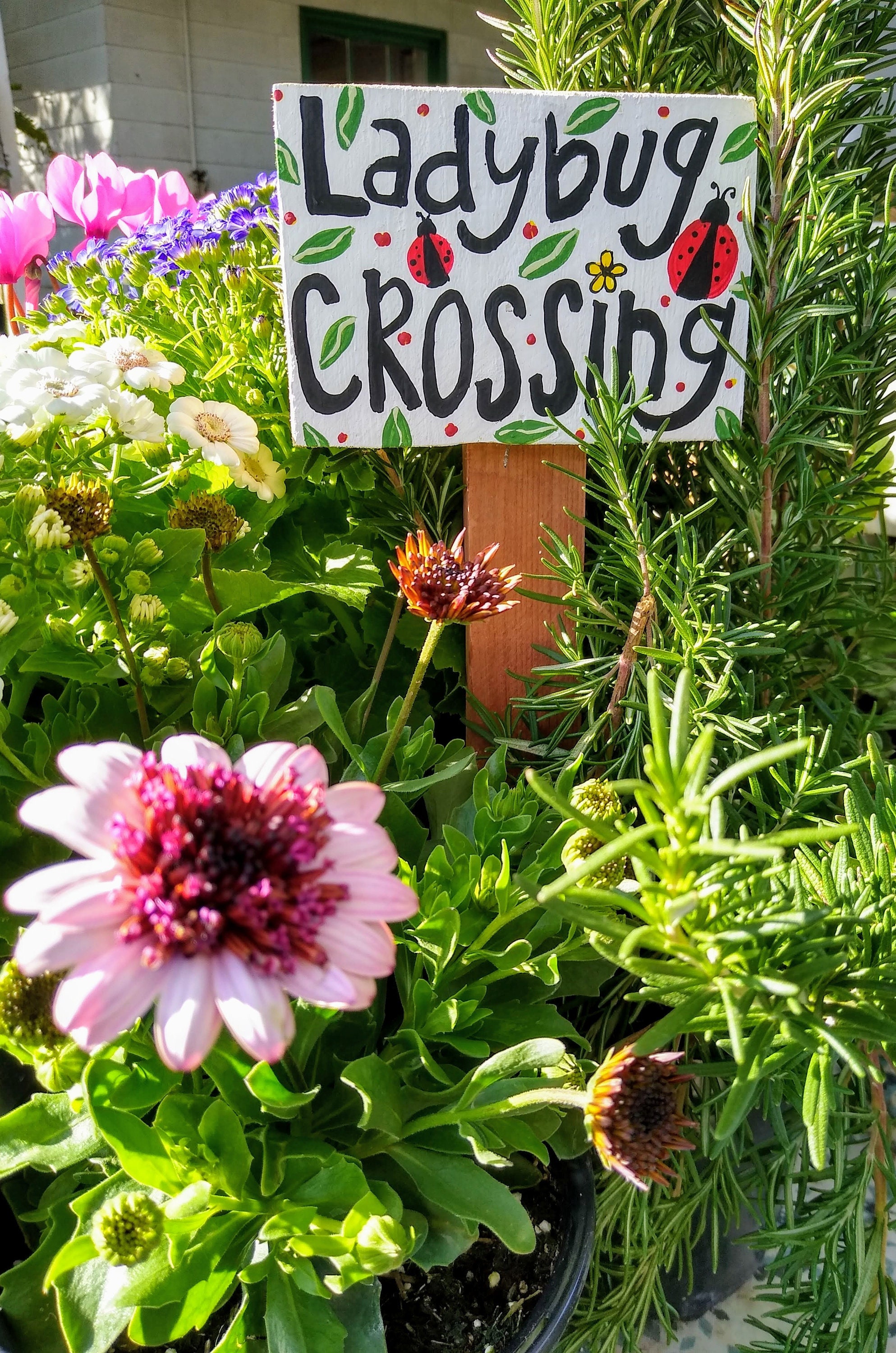 Garden Ladybug Sign Ladybug Crossing Wooden SignRustic | Etsy