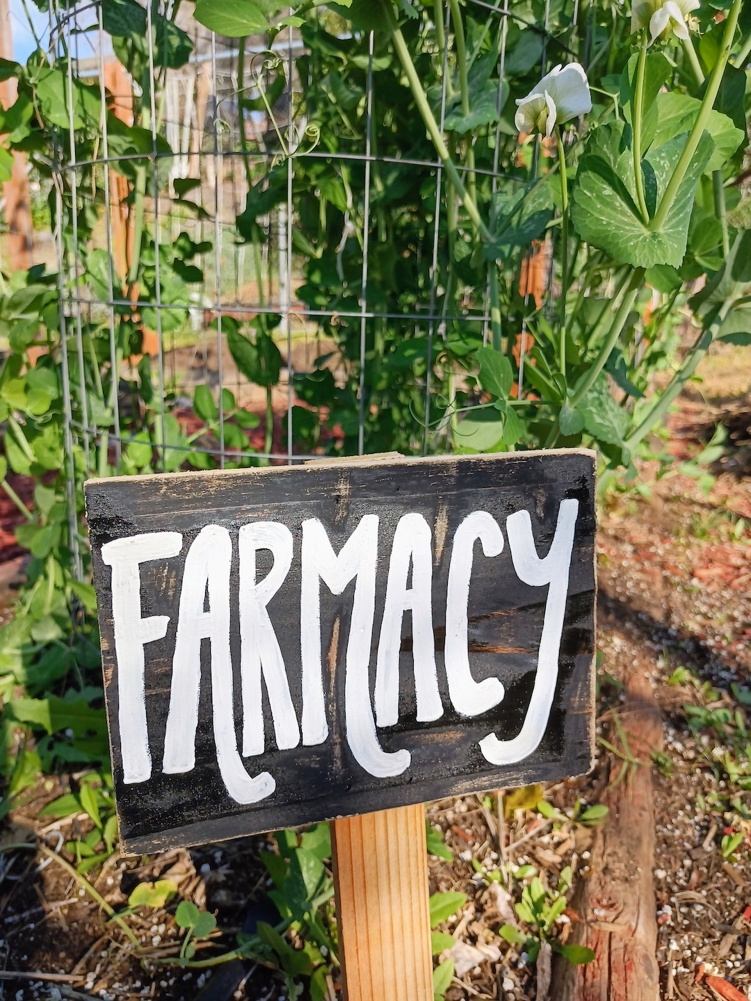 Farmacy Garden Sign Vegetable Stake Gardener Gift Farmer Decor Rustic ...